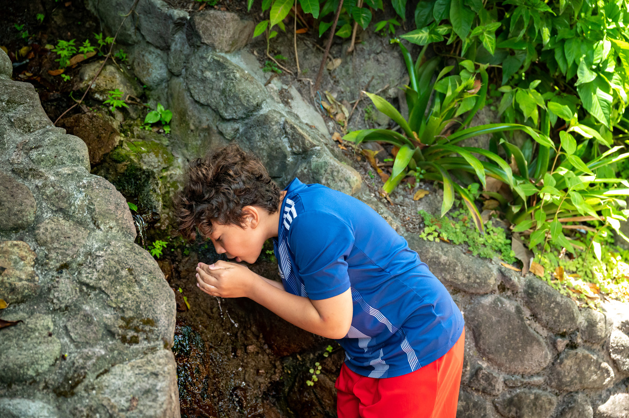 A One-Day Escape to Montserrat - Montserrat Tourism Authority